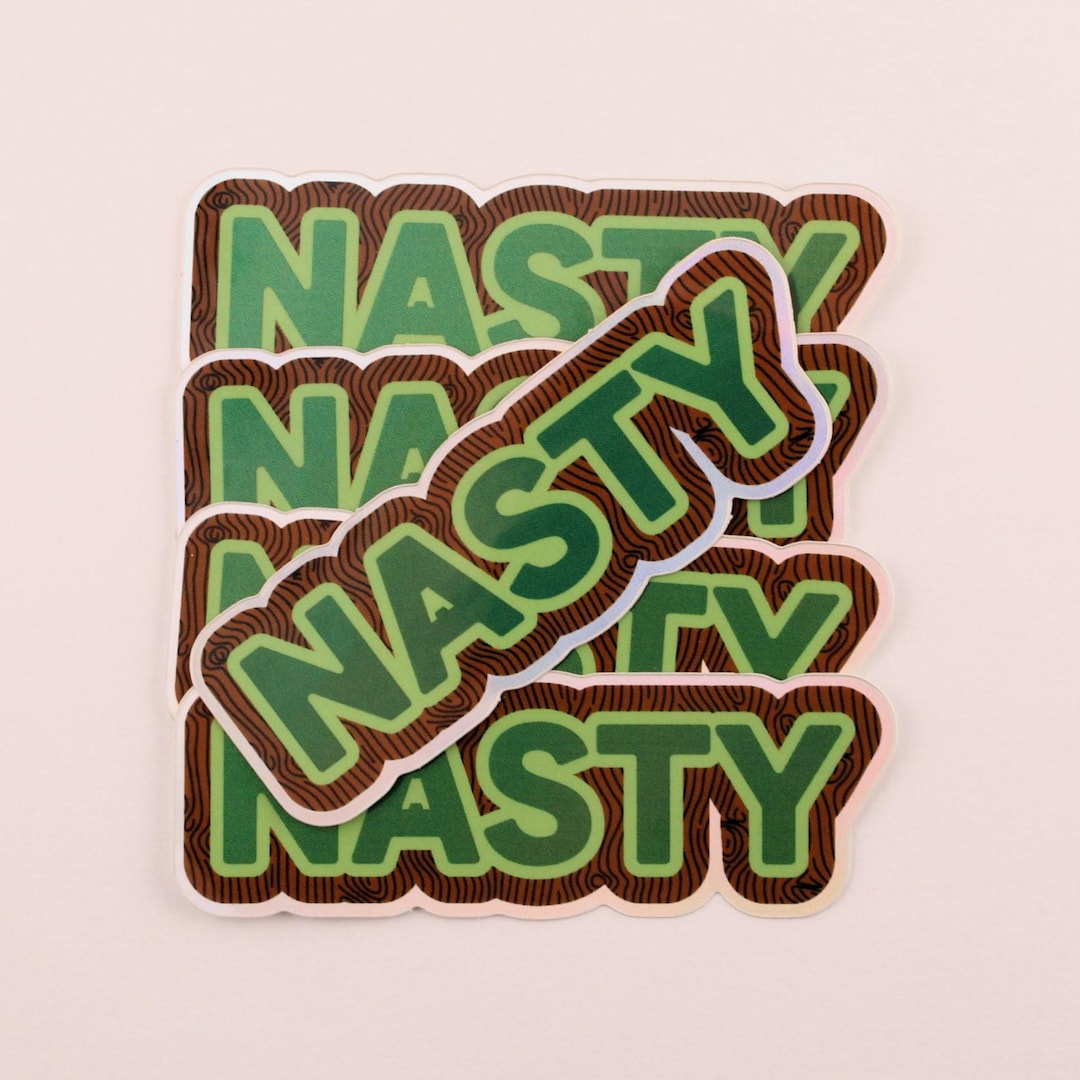 Holographic Nasty Meme Sticker Set - 5 Unique Quote Decals - Etsy
