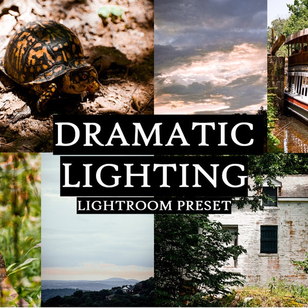 Dramatic Lighting - Etsy
