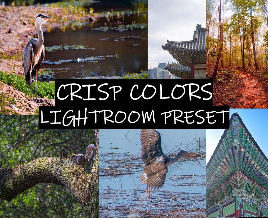 Crisp Colors Preset Package - Etsy