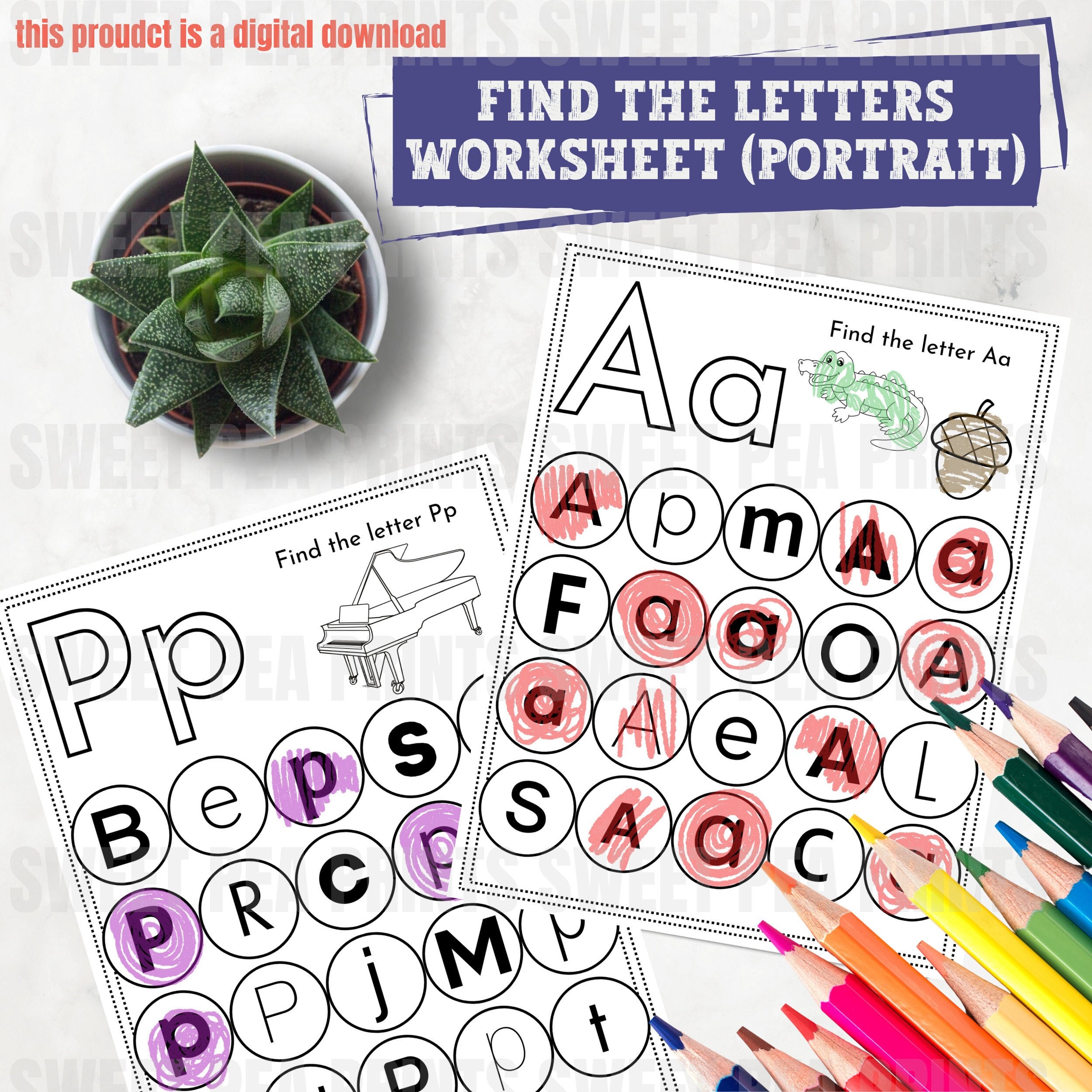 Printable Alphabet Worksheet for Elementary Homeschool - Etsy
