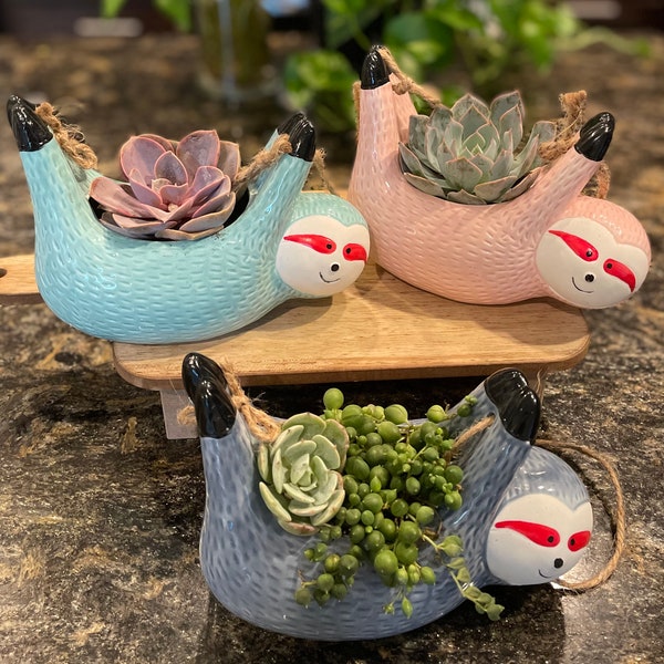 Sloth Planter - Etsy