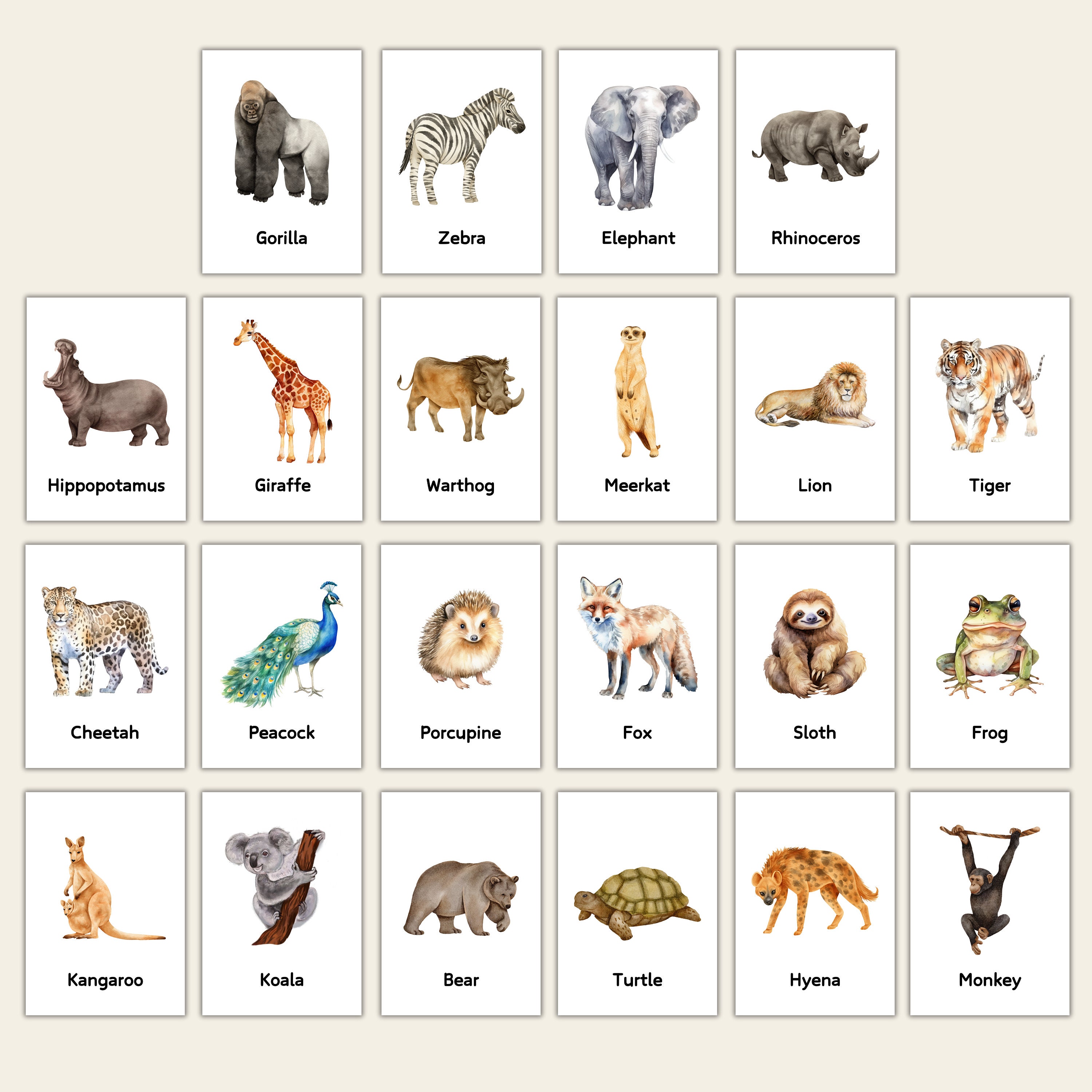 Zoo Animal Flashcards Toddler Preschool Early Learning Resource Learn ...