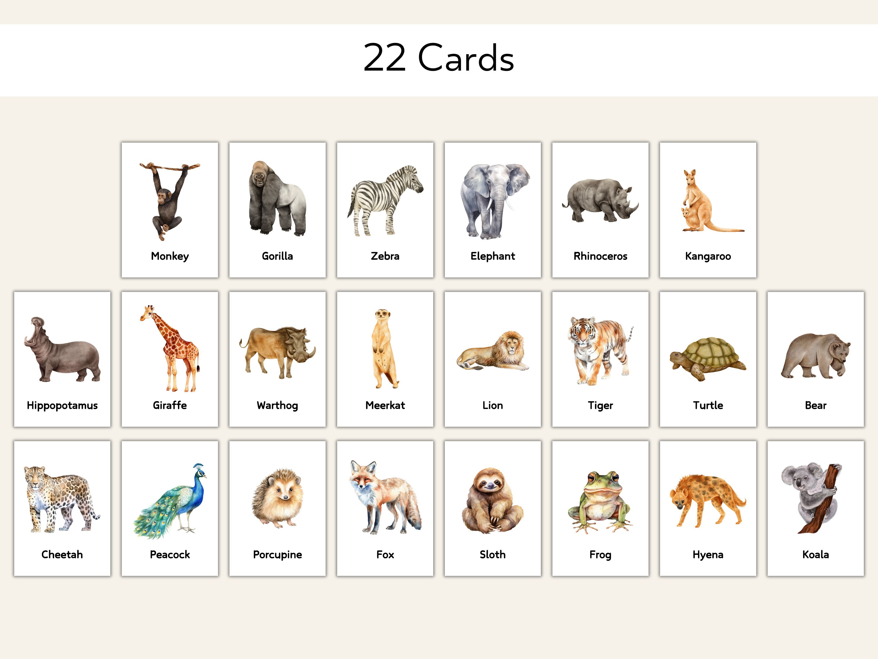 Zoo Animal Flashcards Toddler Preschool Early Learning Resource Learn ...