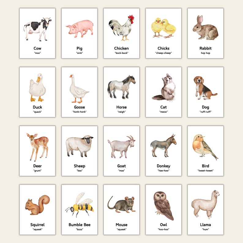 Farm Animal Flashcards Toddler Preschool Early Learning Resource Learn ...
