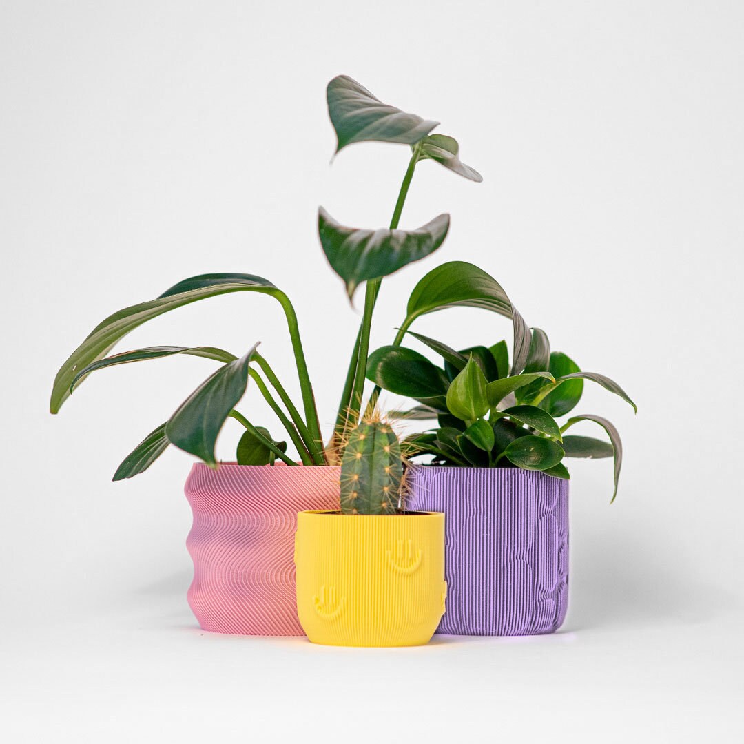 Nesting Plant Pots Made From Plants - Etsy
