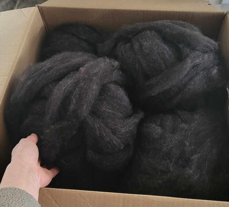 Finnsheep Wool Roving 4oz for Spinning - Etsy