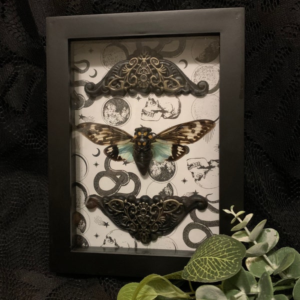 Gothic Shadow Box Frame - Etsy