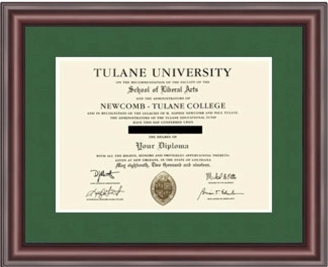 Michigan State University Diploma Frame - Etsy