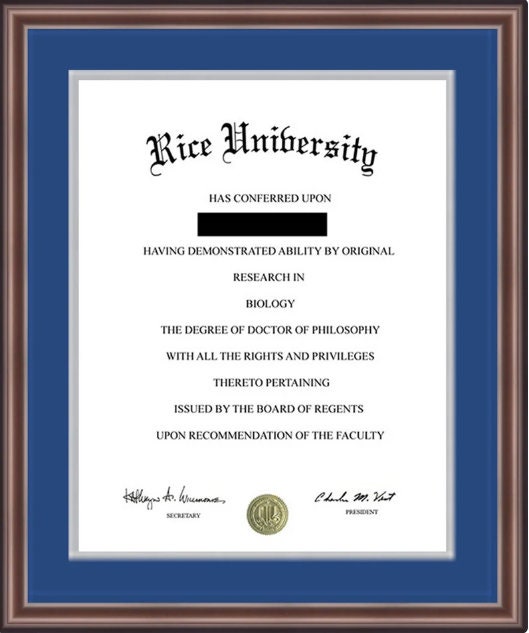Rice University Diploma Frame - Etsy