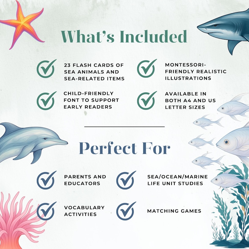 Printable Sea and Ocean Life Flash Cards, Learn About Water Animals ...