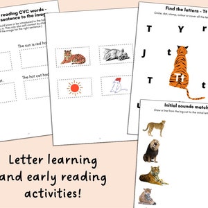 Big Cats Unit Study Preschool & Kindergarten Learning Binder Lions ...