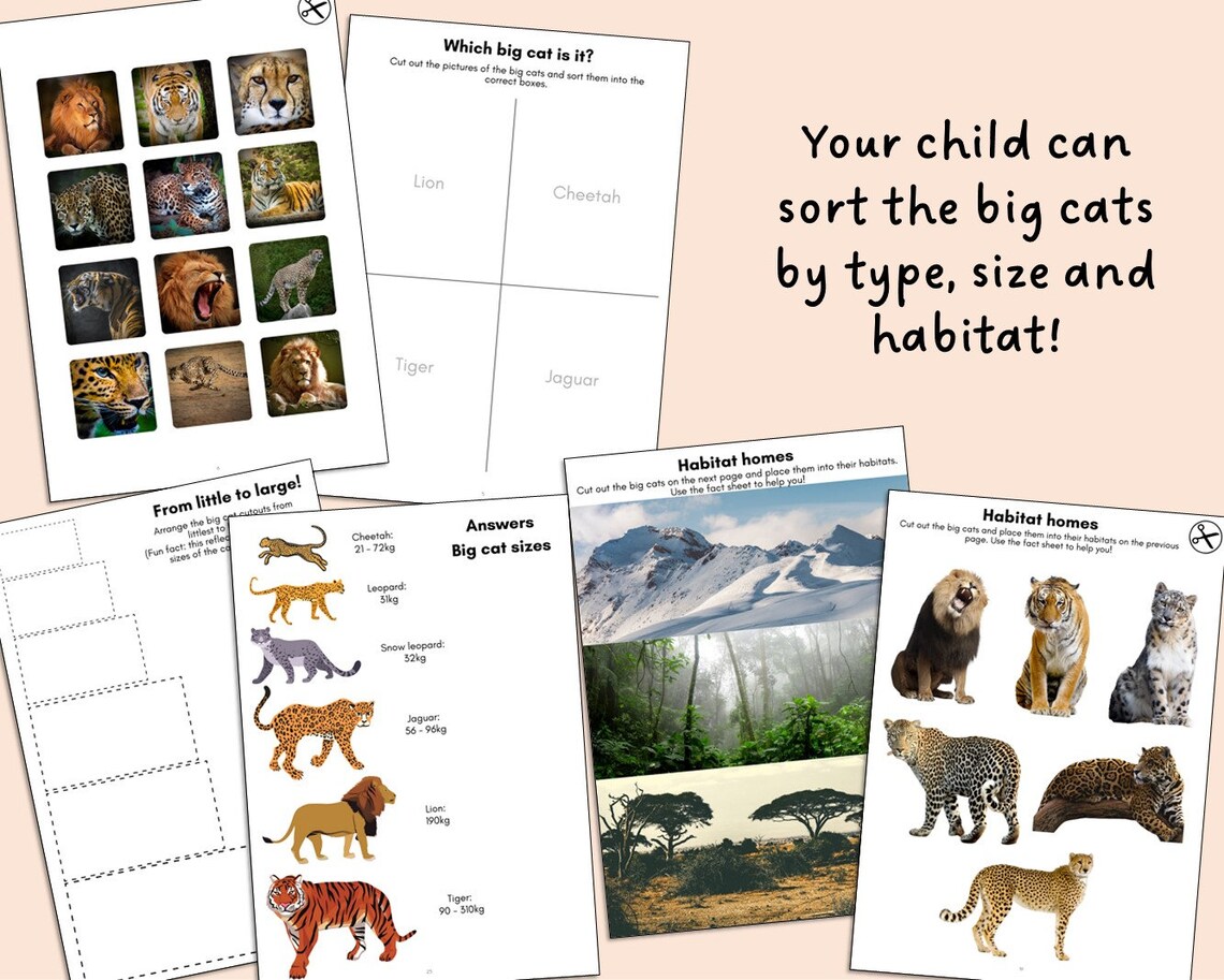 Big Cats Unit Study | Preschool & Kindergarten Learning Binder | Lions ...