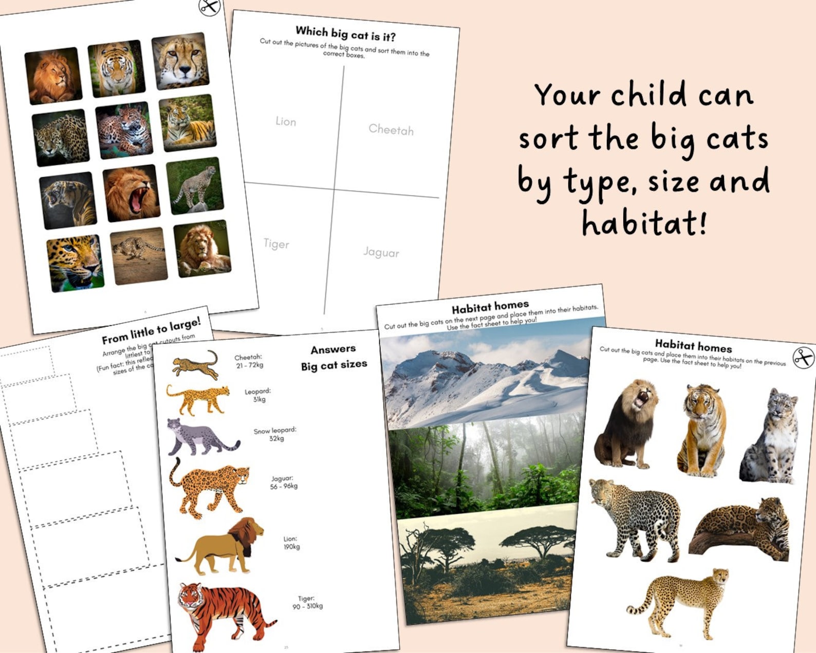 Big Cats Unit Study | Preschool & Kindergarten Learning Binder | Lions, Tigers, Cheetahs, Wild ...