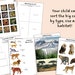 Big Cats Unit Study | Preschool & Kindergarten Learning Binder | Lions ...