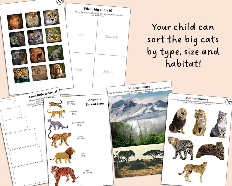Big Cats Unit Study Preschool & Kindergarten Learning Binder Lions ...