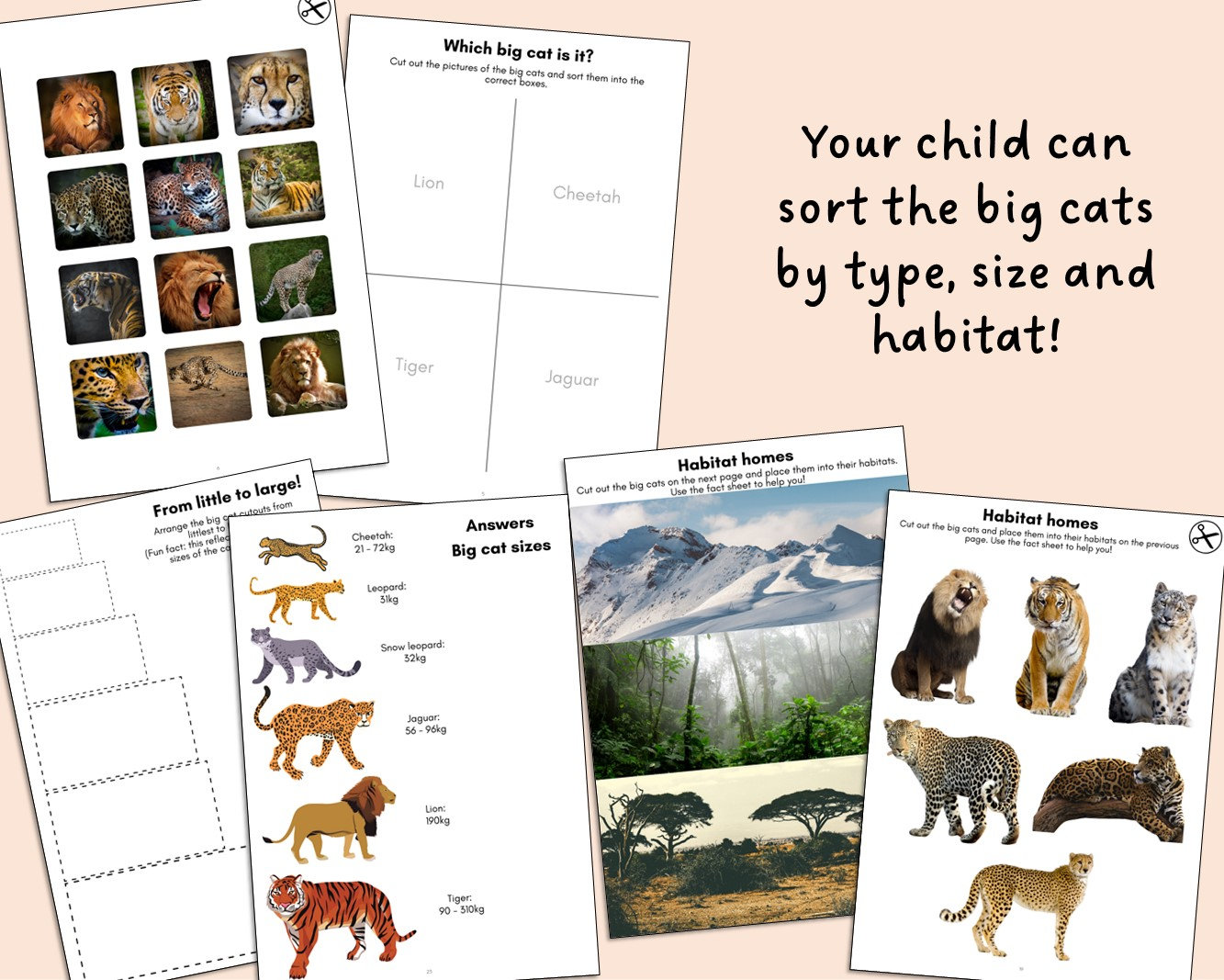 Big Cats Unit Study Preschool & Kindergarten Learning Binder Lions ...