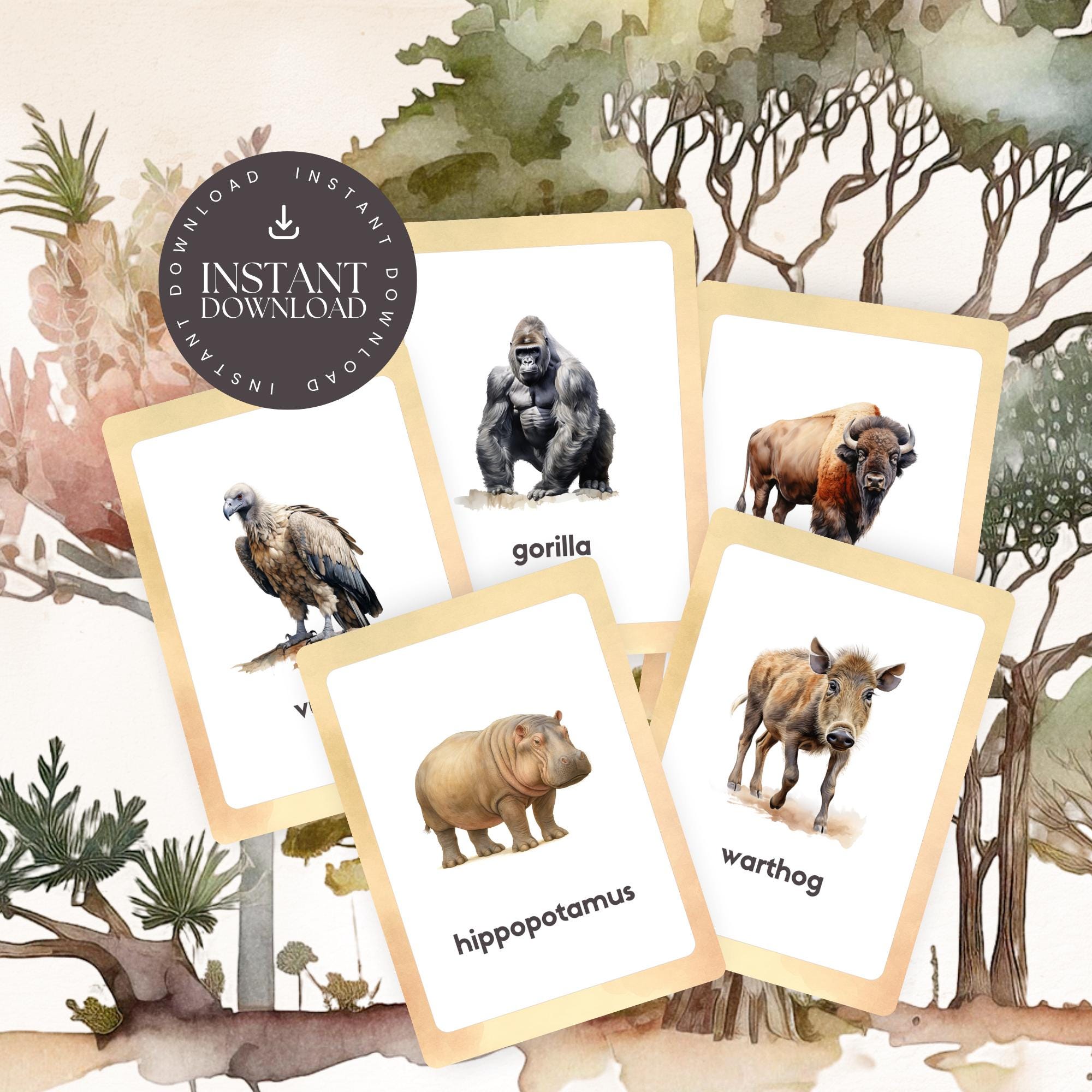 Safari Animal Flashcards Printable Set, Montessori Learning Cards for ...