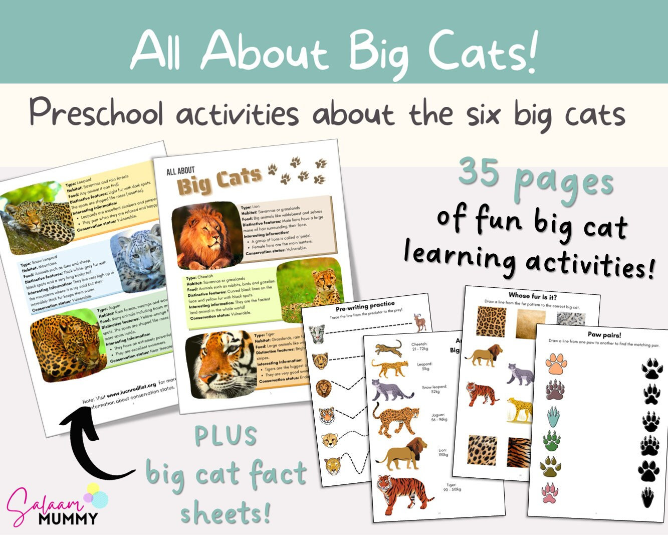 Big Cats Unit Study Preschool & Kindergarten Learning Binder Lions ...