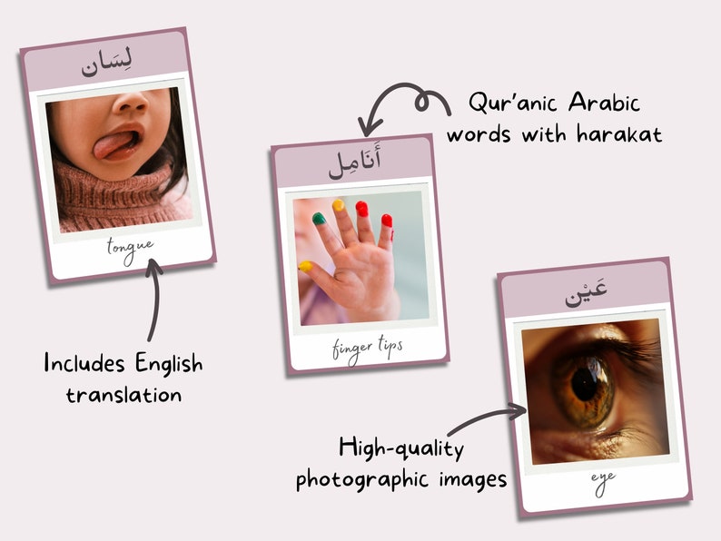12 Quran Flashcards, Body Parts, Human Anatomy, PDF Islam Printable ...