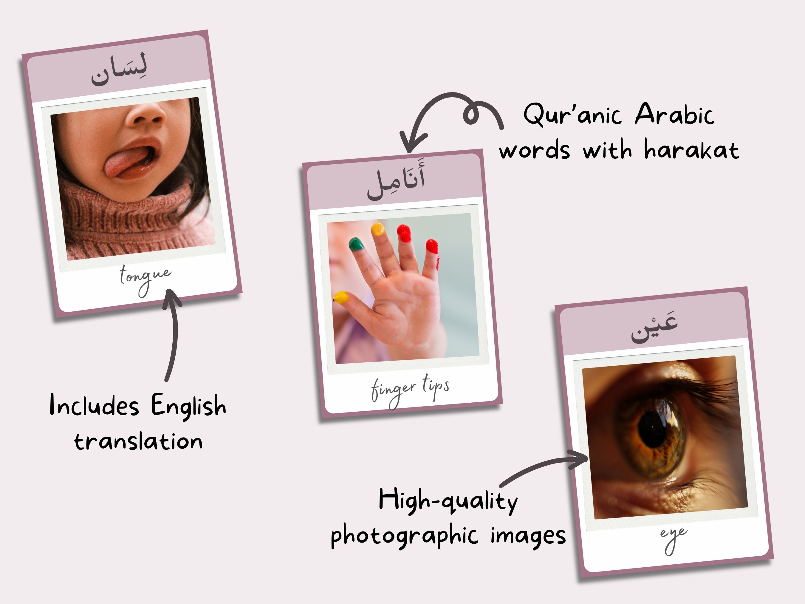 12 Quran Flashcards, Body Parts, Human Anatomy, PDF Islam Printable ...