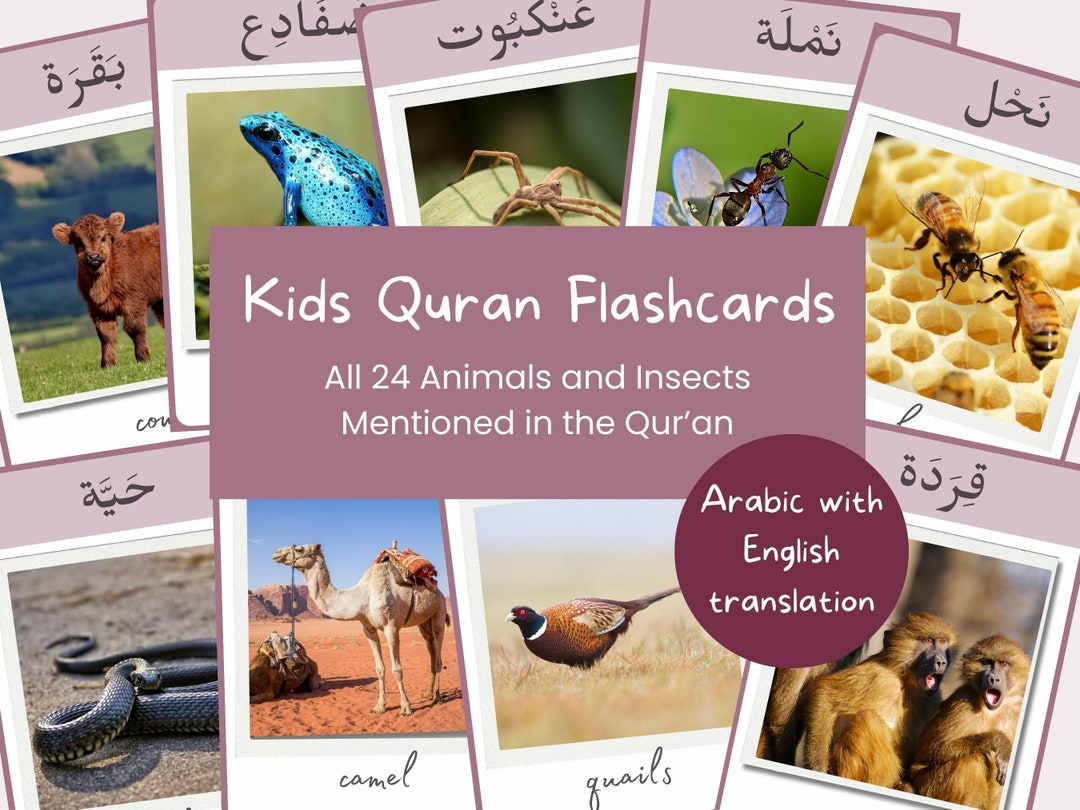 24 Quran Flashcards, Animals & Insects, PDF Islam Printable, Islamic ...
