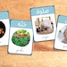 20 Quran Flashcards for Muslim Kids Common Quran Vocabulary Arabic and ...