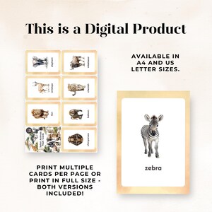 Safari Animal Flashcards With Realistic Images, Printable Montessori ...
