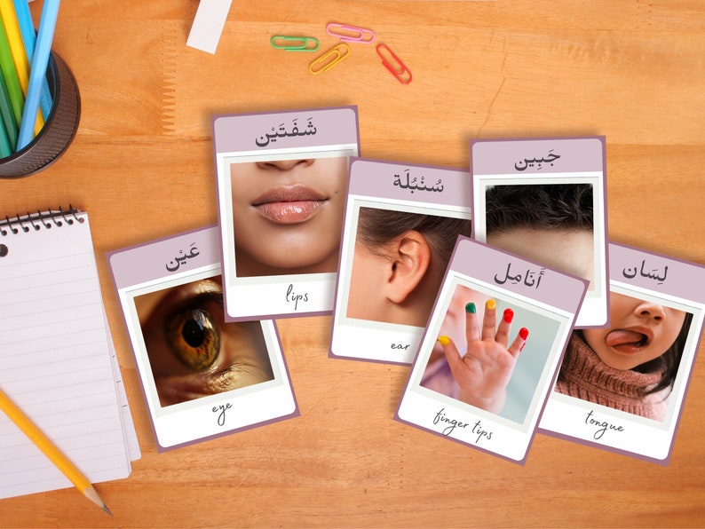 12 Quran Flashcards, Body Parts, Human Anatomy, PDF Islam Printable ...