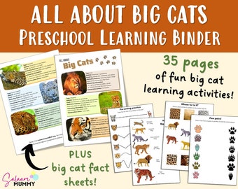 Cheetah Unit Study - Etsy