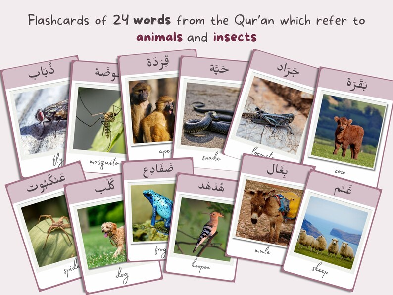 95 Quran Flashcards HUGE BUNDLE, Muslim Kids Activity, Islam PDF ...