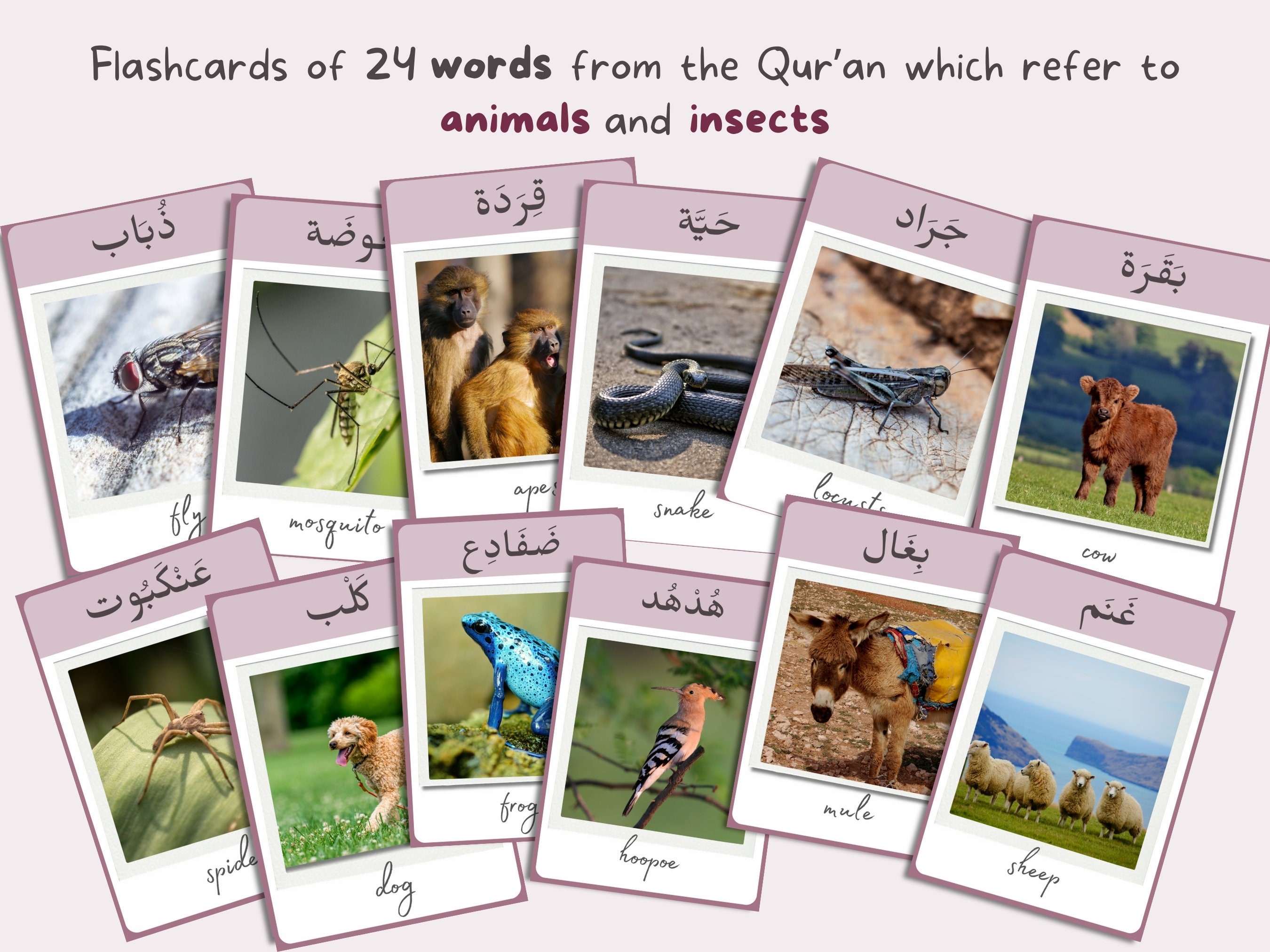 95 Quran Flashcards HUGE BUNDLE, Muslim Kids Activity, Islam PDF ...
