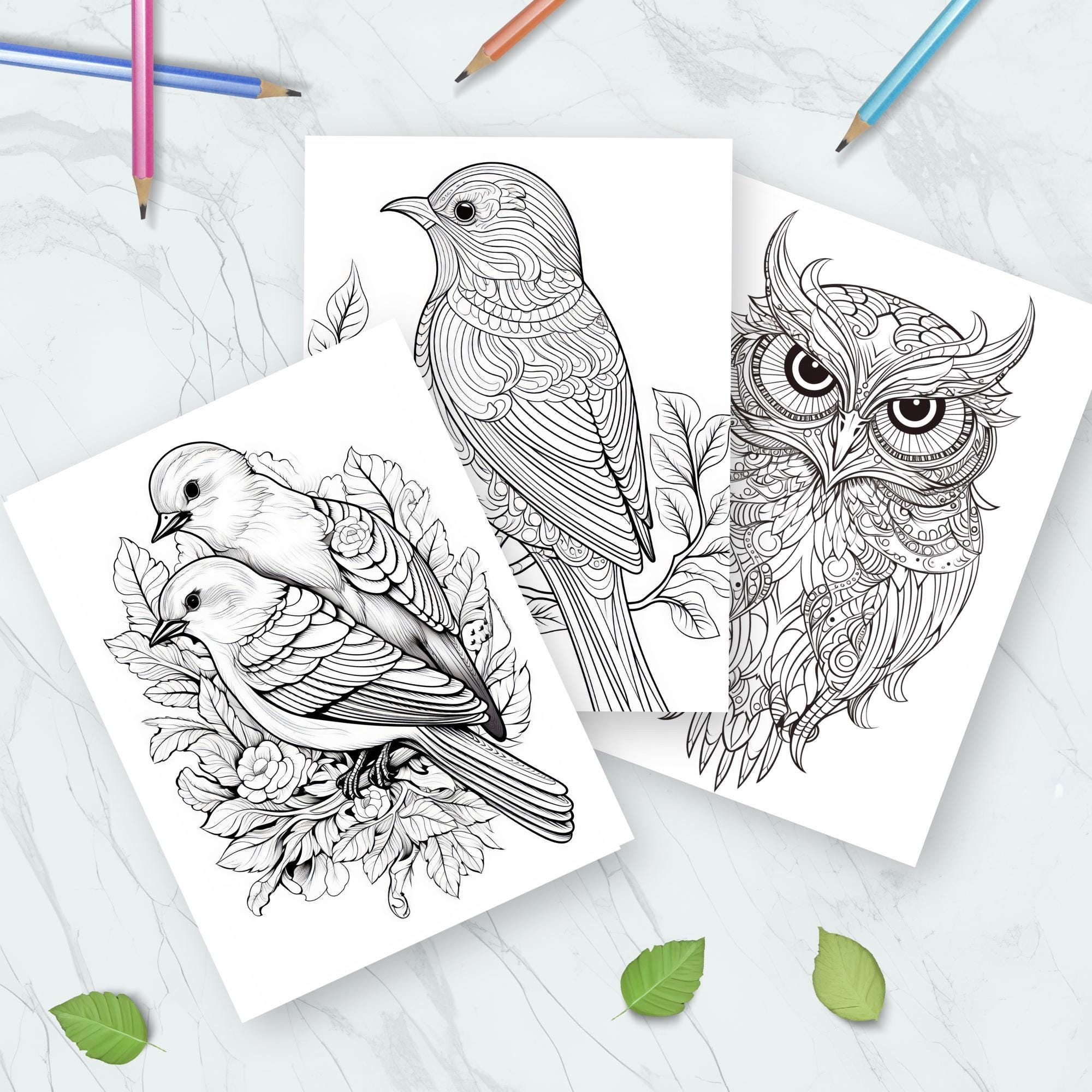 Mindful Patterns Coloring Pages, Beautiful Birds Designs Printable ...
