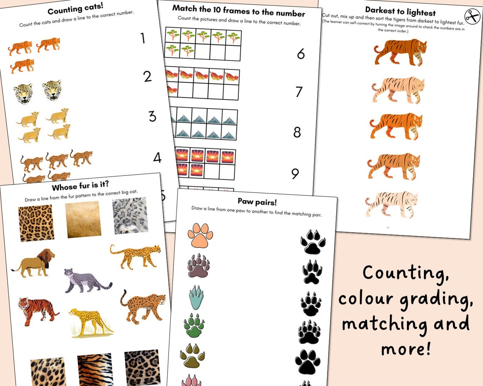 Big Cats Unit Study | Preschool & Kindergarten Learning Binder | Lions ...