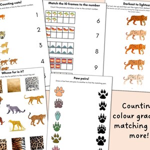 Big Cats Unit Study Preschool & Kindergarten Learning Binder Lions ...