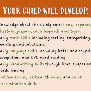 Big Cats Unit Study | Preschool & Kindergarten Learning Binder | Lions, Tigers, Cheetahs, Wild ...