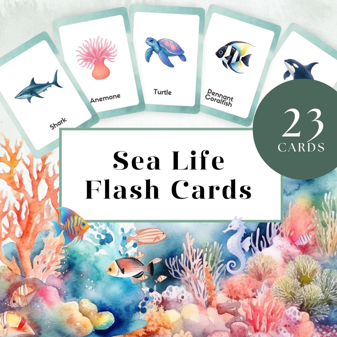 Printable Sea and Ocean Life Flash Cards, Learn About Water Animals ...