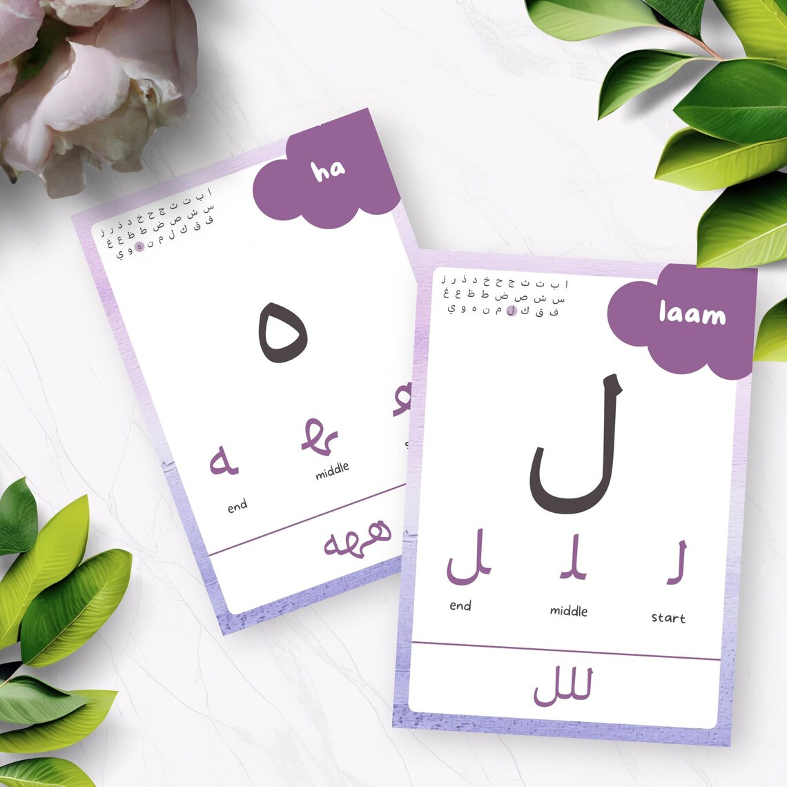 Arabic Letter Positions Flash Cards, Kids Phonics Learning, Arabic ...