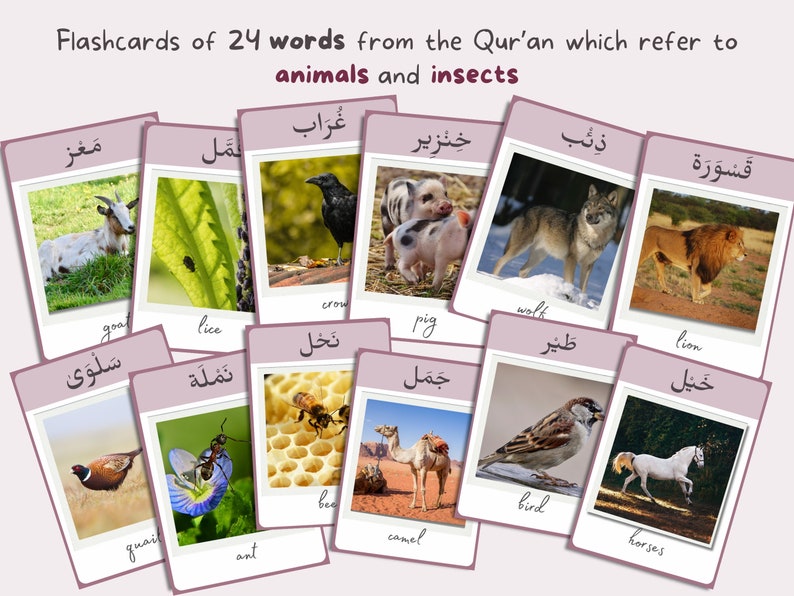 95 Quran Flashcards HUGE BUNDLE, Muslim Kids Activity, Islam PDF ...