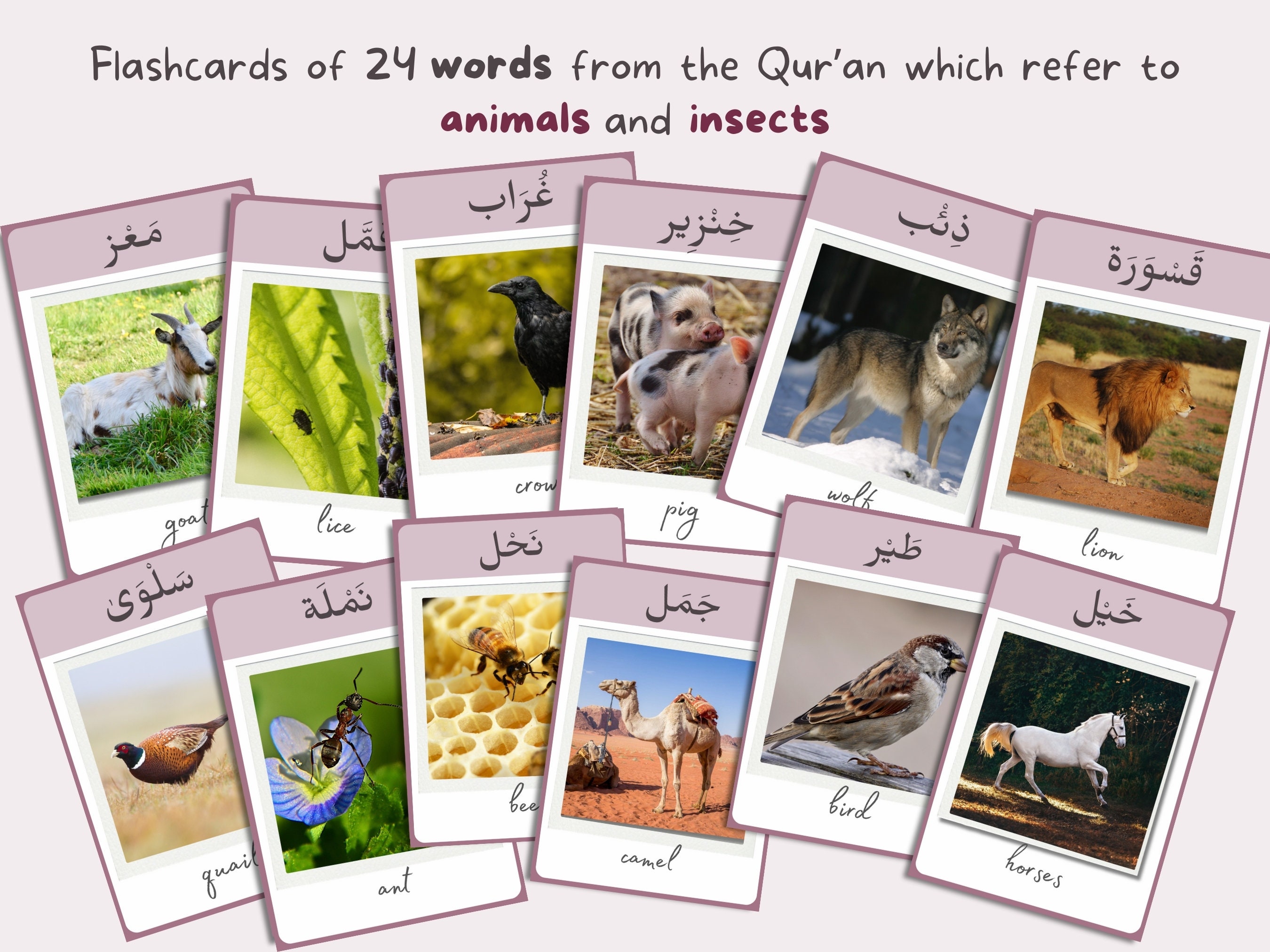 95 Quran Flashcards HUGE BUNDLE, Muslim Kids Activity, Islam PDF ...