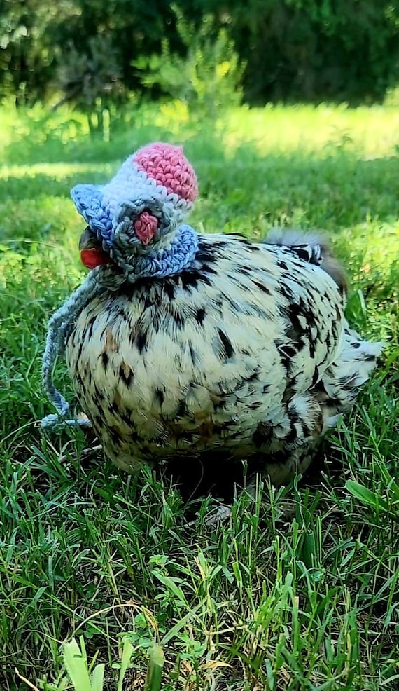 Crochet Chicken Bonnet Bucket Hat With Flower - Etsy