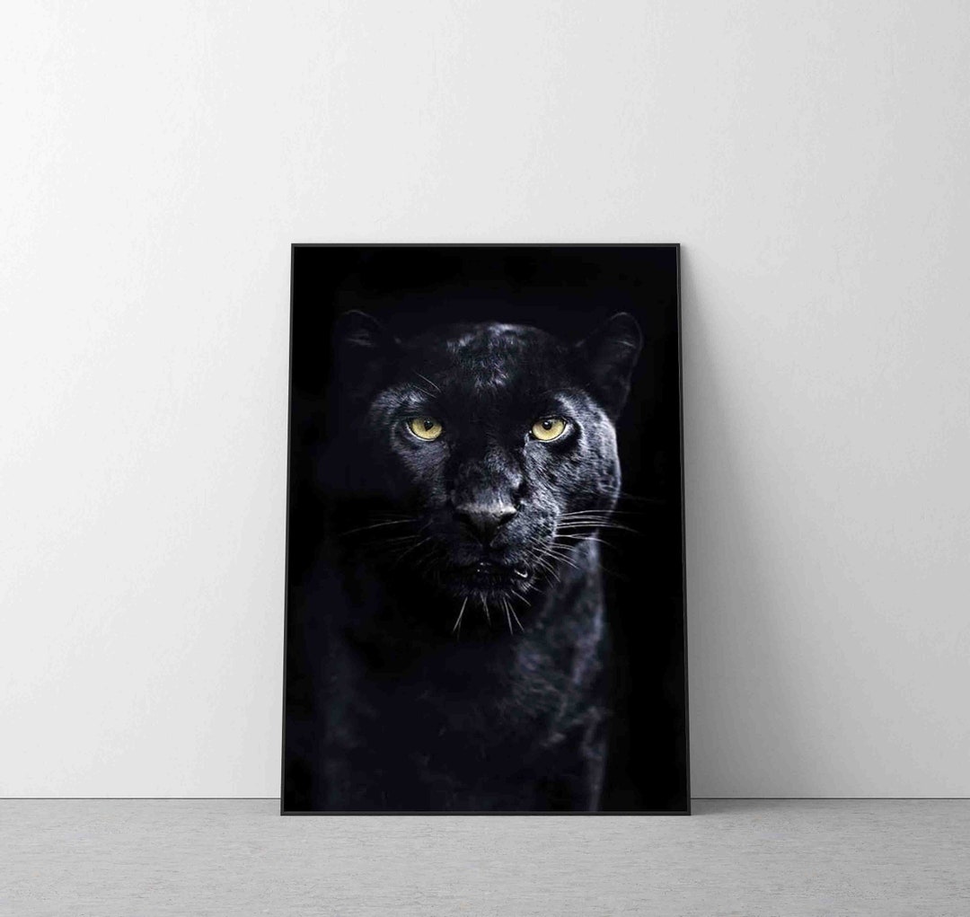 Black Panther Print Poster Modern Timeless Cute Animal King of Jungle ...