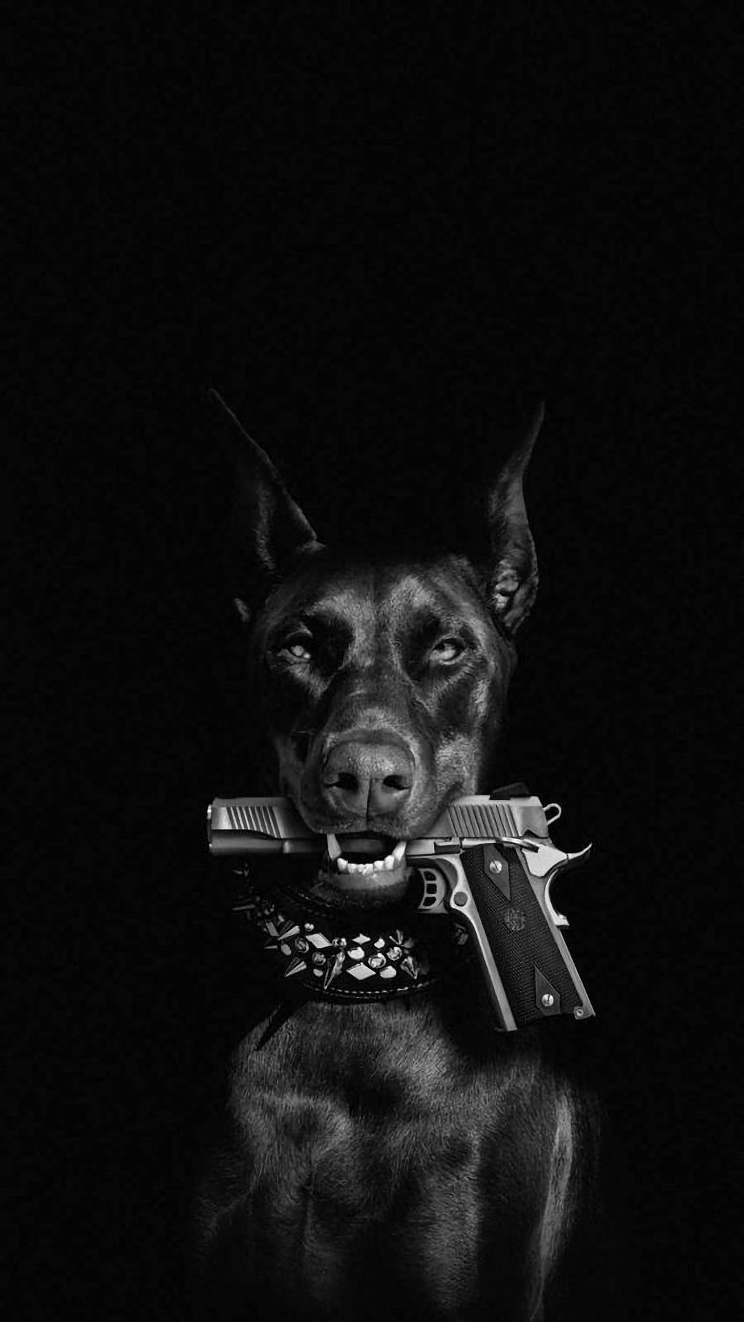 DIGITAL DOWNLOAD Doberman Black Gun Poster Designer Fashion - Etsy