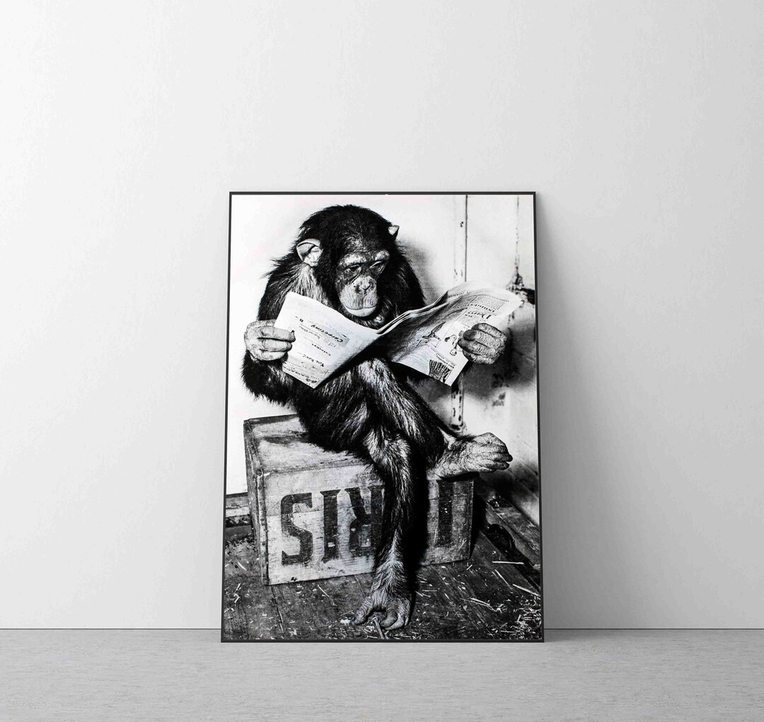 Monkey Chimpanzee Reading Newspaper Print, Black and White Poster ...