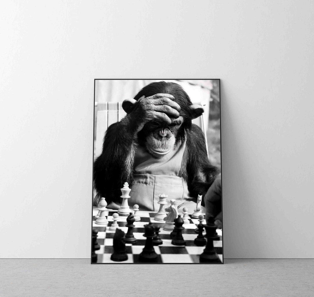 Monkey Chimpanzee Playing Chess Print, Black and White Poster Vintage ...