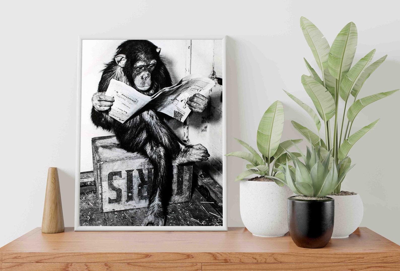 Monkey Chimpanzee Reading Newspaper Print, Black and White Poster ...