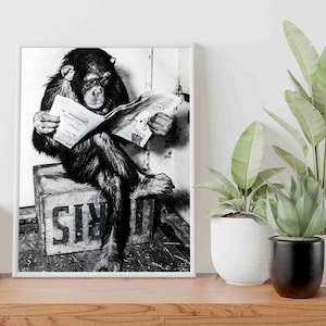 Monkey Chimpanzee Reading Newspaper Print, Black and White Poster ...