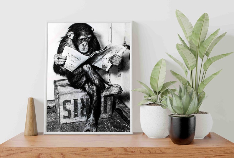 Monkey Chimpanzee Reading Newspaper Print, Black and White Poster ...