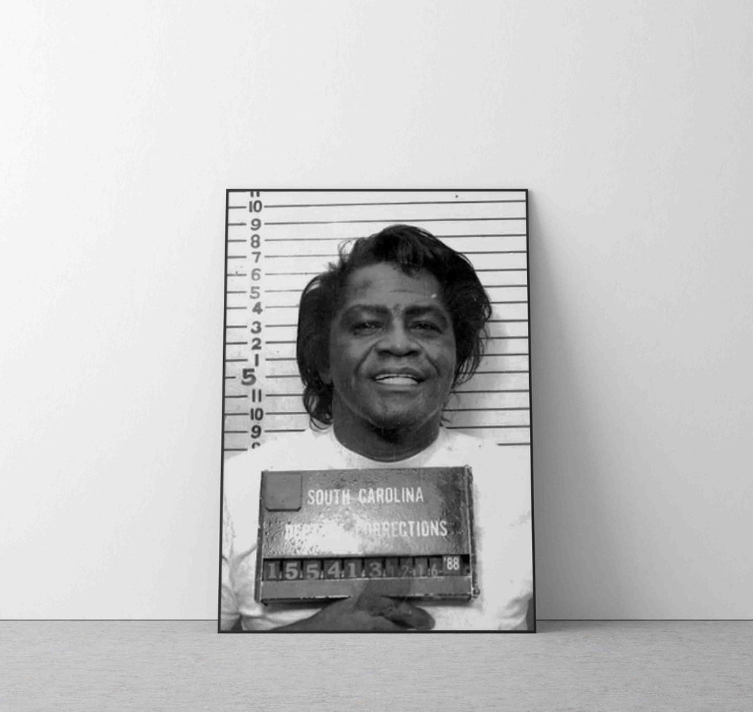 James Brown Mugshot Celebrity Poster Print, Wall Art Decor Iconic ...