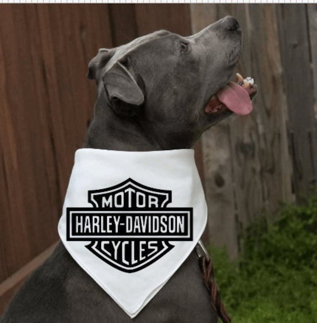 Harley Davidson, Dog Bandana, Color Dog Bandana, Stylish Dog Bandana ...