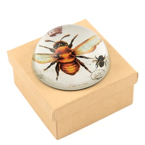 Value Arts Crystal Glass Bumblebee Dome Paperweight - Etsy